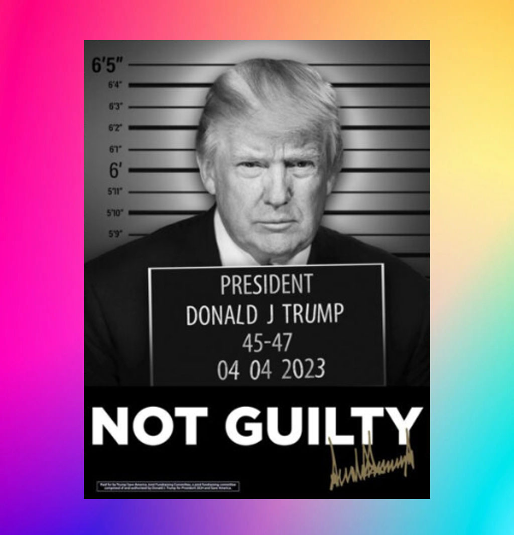 Official Trump Mugshot Gray Cotton T-Shirt - Shirts owl
